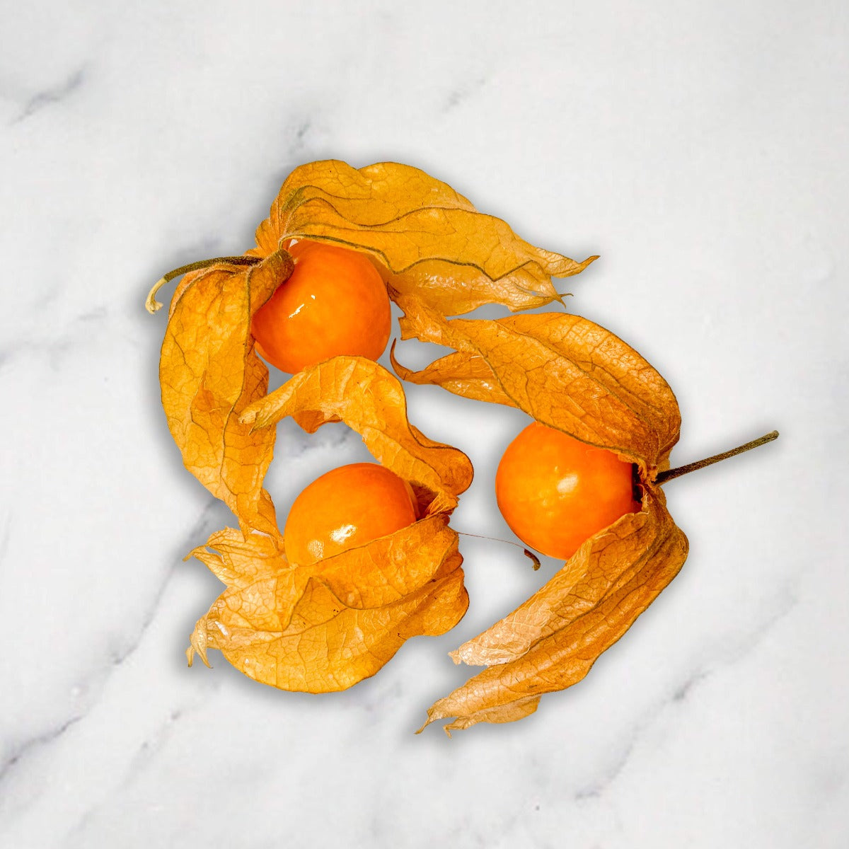Buy Physalis Fruits UK | Fine Food Specialist