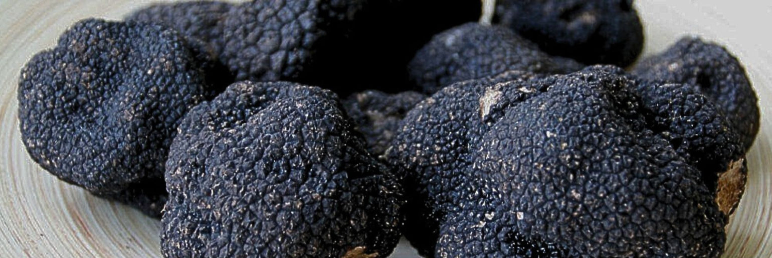 Frozen Truffles – Fine Food Specialist