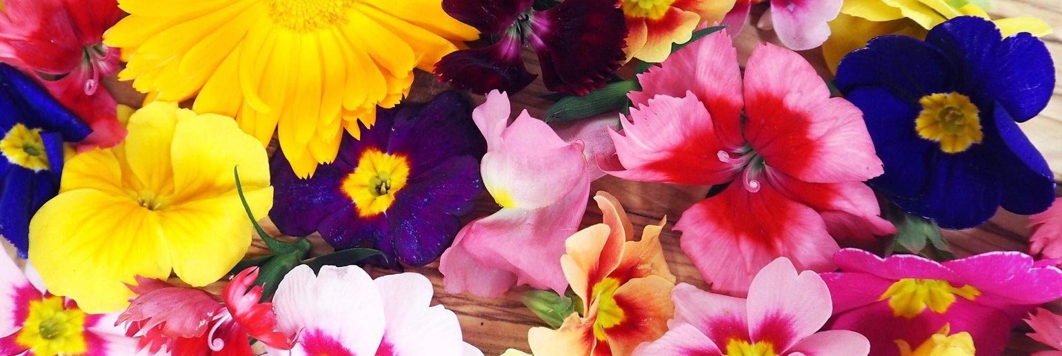 Edible Flowers: For Cakes, Cocktails & Garnishing – Fine Food Specialist