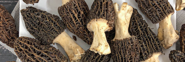 Buy Morel Mushrooms Online: Gourmet Varieties – Fine Food Specialist