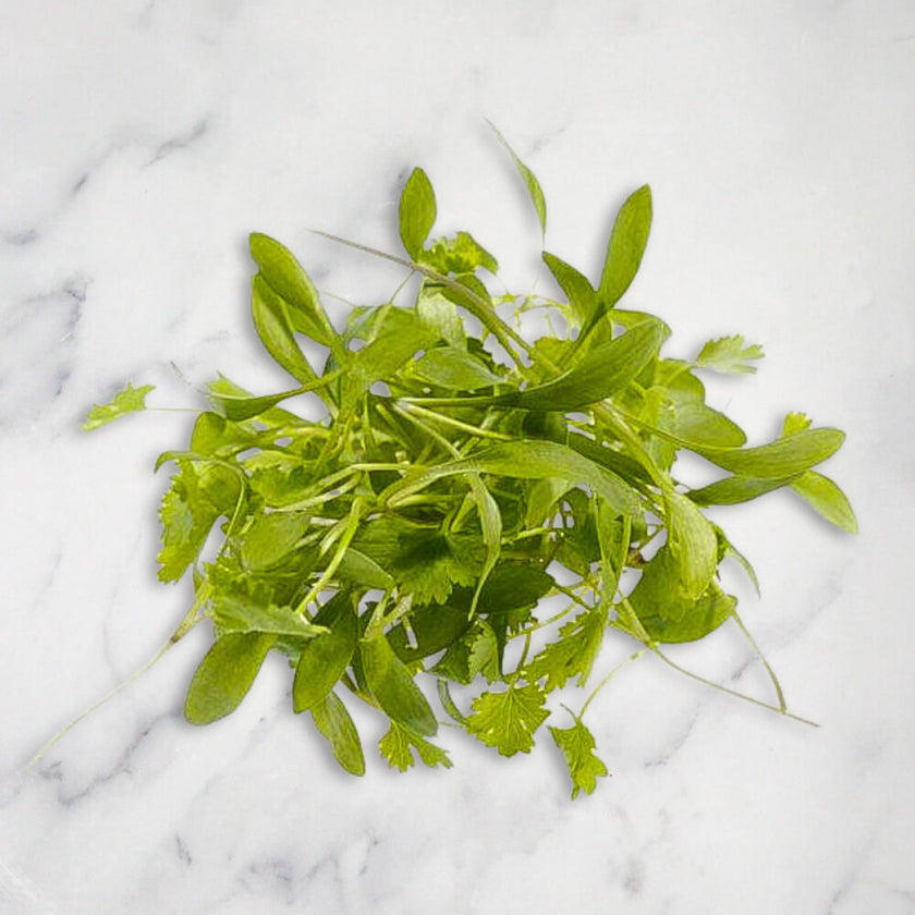 Buy Micro Herbs & Microgreens Online UK – Fine Food Specialist
