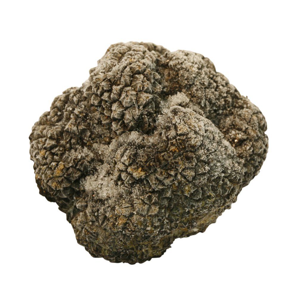 Buy Frozen Summer Truffles Online – Fine Food Specialist