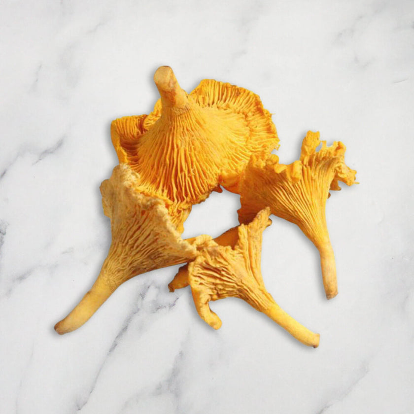 Pasta with Girolles, Anchovy, and Crispy Breadcrumbs – Fine Food Specialist
