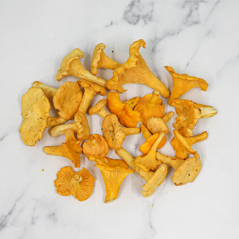 Girolles Mushrooms: Fresh & Frozen Wild Girolles – Fine Food Specialist