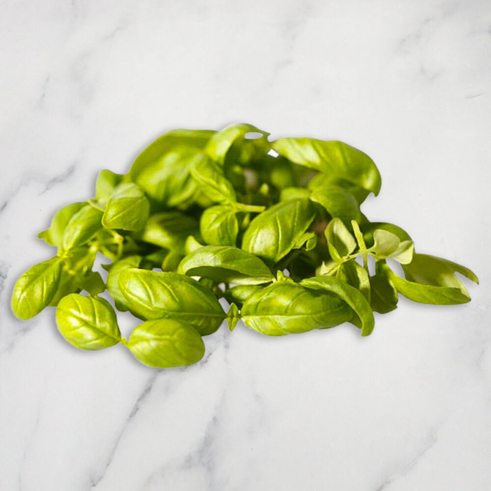 Buy Green Basil Micro Herb Online UK | Fine Food Specialist