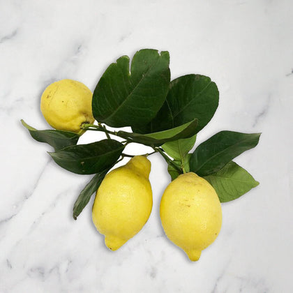 Buy Italian Lemons Online UK | Fine Food Specialist