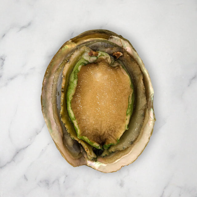 Buy Giant Australian Abalone Online | Fine Food Specialist