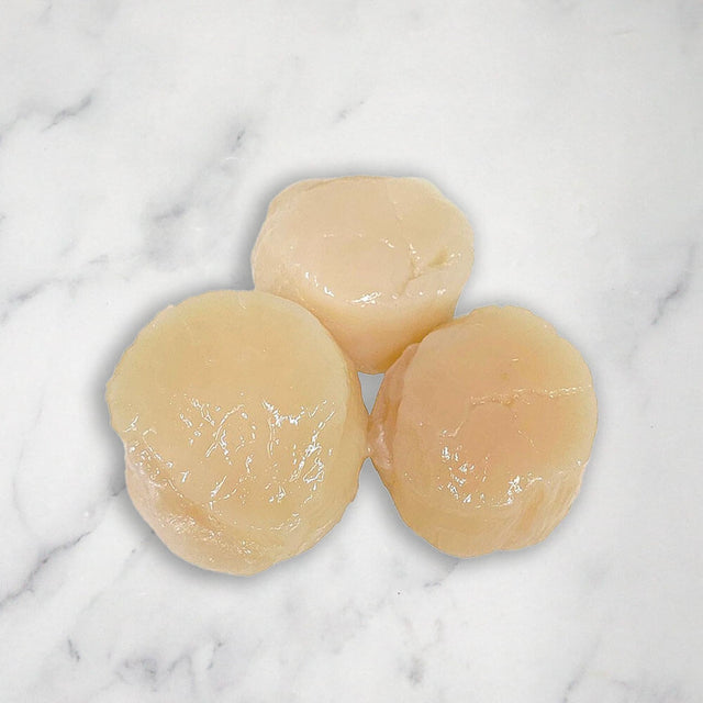 Buy Hokkaido Japanese Scallops UK | Fine Food Specialist