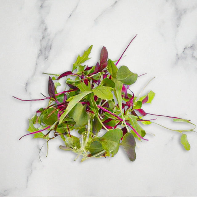 Buy Micro Mix Leaf Salad Online UK | Fine Food Specialist