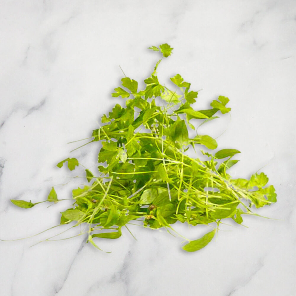 Buy Parsley Micro Herb Online UK | Fine Food Specialist