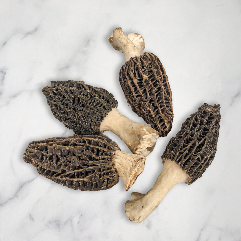Buy Morel Mushrooms Online: Gourmet Varieties – Fine Food Specialist
