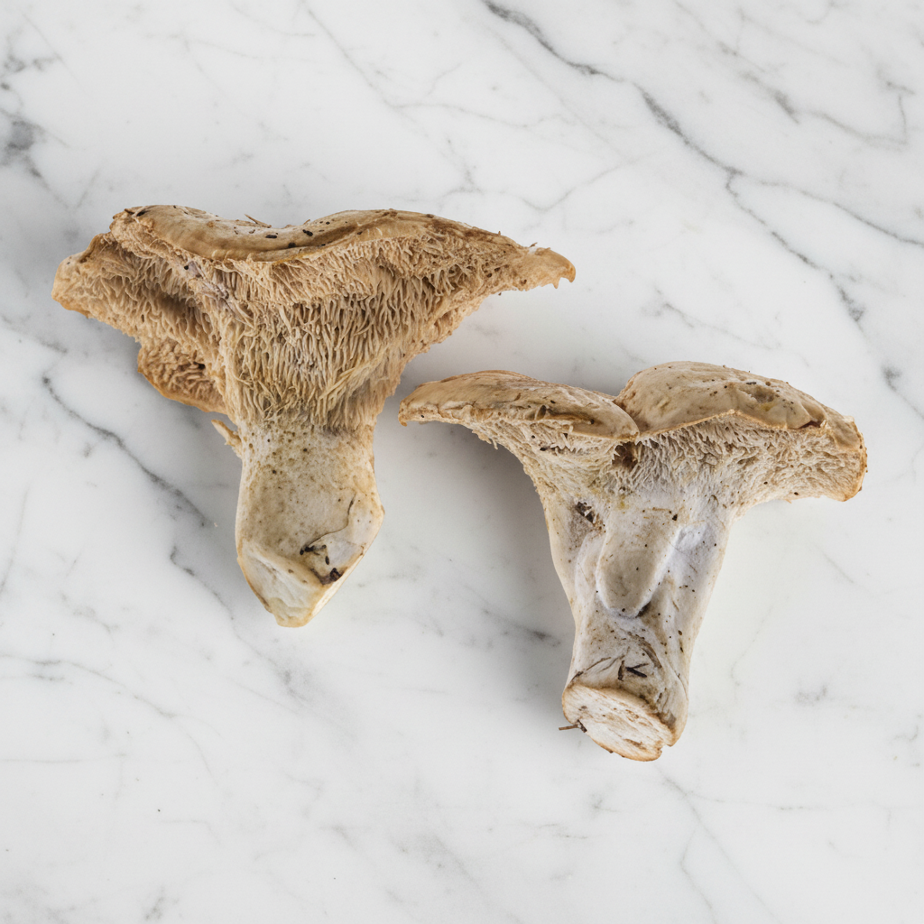 Buy Fresh Pied De Mouton Mushrooms Online U.K. – Fine Food Specialist