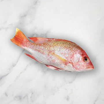 Buy Fresh Red Snapper Fish Online UK – Fine Food Specialist