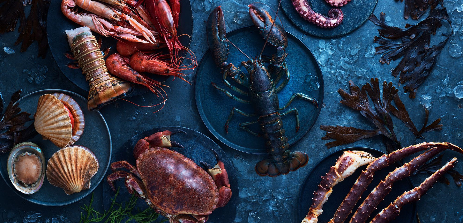 Buy Fine Food & Gourmet Foods Online – Fine Food Specialist