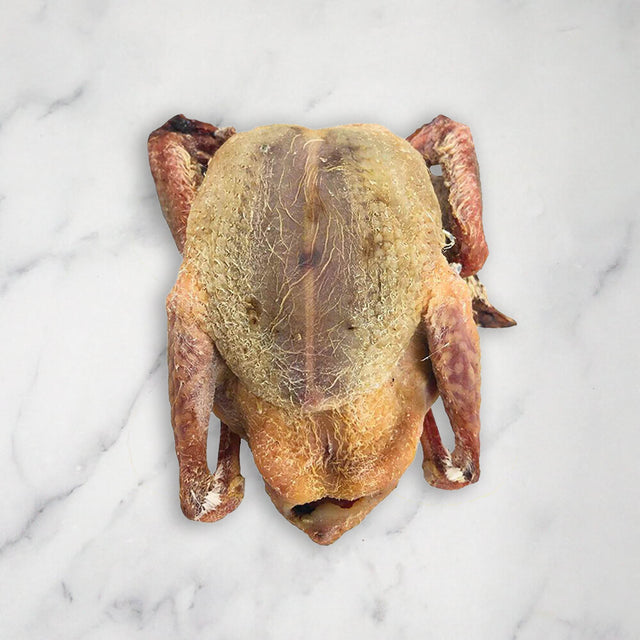 Buy Squab Pigeon UK | Fine Food Specialist