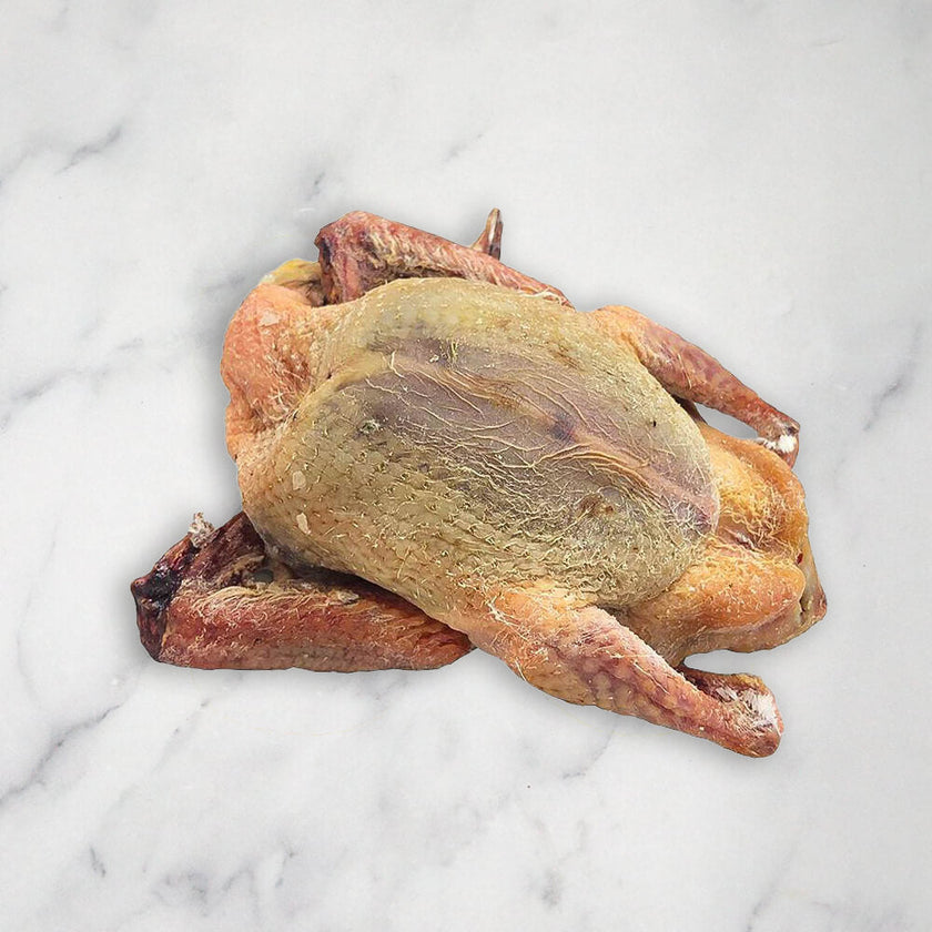 Buy Squab Pigeon UK | Fine Food Specialist