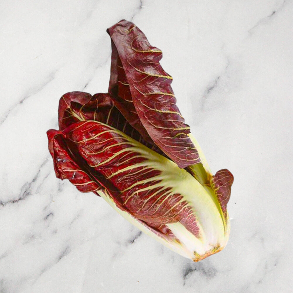 Buy Treviso Radicchio Online London | Fine Food Specialist